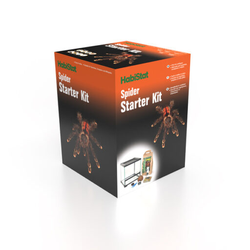 Habistat Spider Spider Kit – Small Exotic Farm